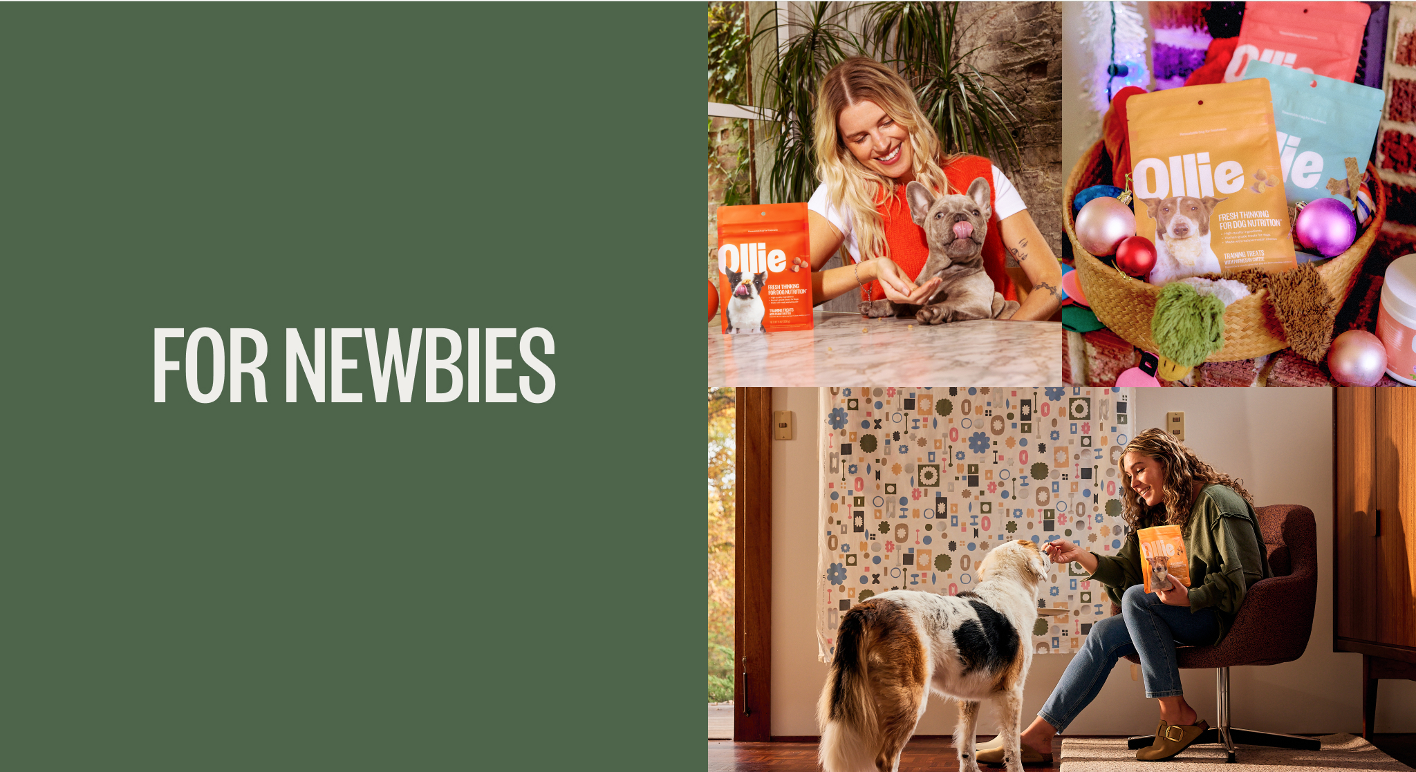 Ollie's 2023 Holiday Gift Guide for Dogs - Ollie Blog