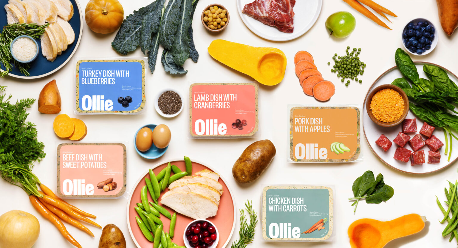 Taurine for Dogs: What is it and Why is it Important? - Ollie Blog